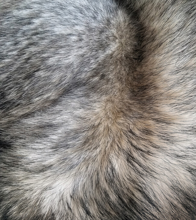 Chalets - Levi Alpine Chalets